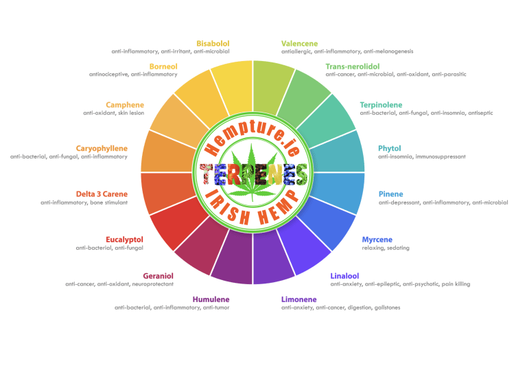 Cannabis Terpenes – The Ultimate Guide – Hempture.ie OFFICIAL SITE